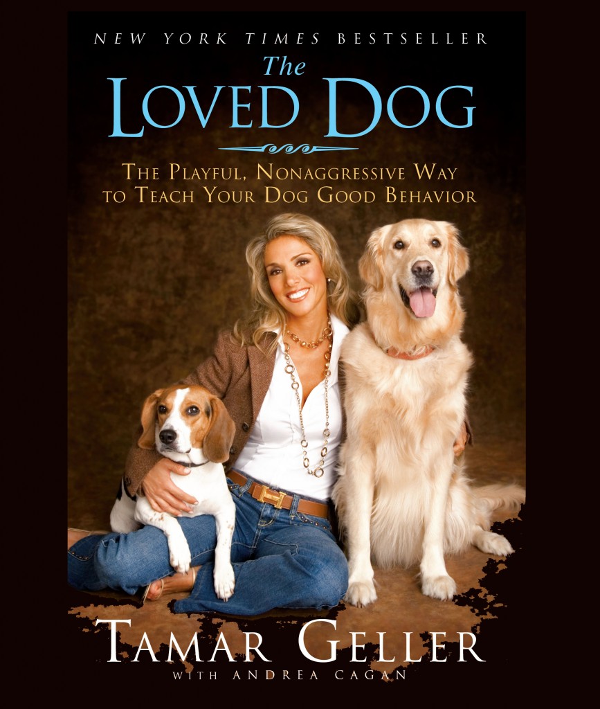 The Loved Dog – Tamar Geller's Best Dog Training & Boarding in Los Angeles